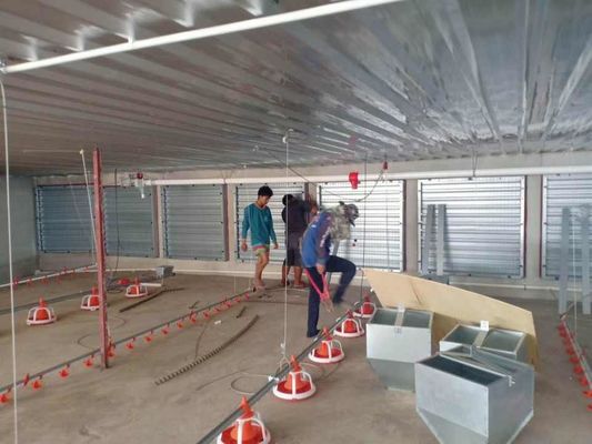 Farms Automatic Poultry Feeder System Pan Feeder Poultry 99 Times