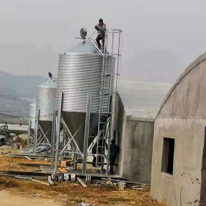 Automatic Poultry Silo Feeding System Broiler Farm 3 Ton Grain Silo