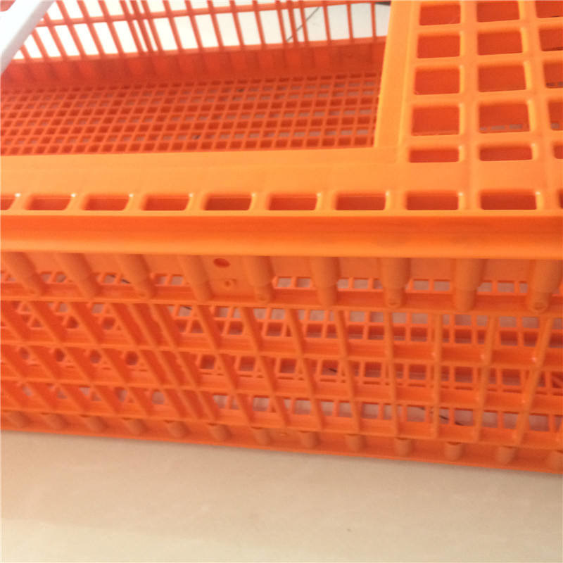 Orange PE Agricultural Plastic Crates For Chicken Transfer