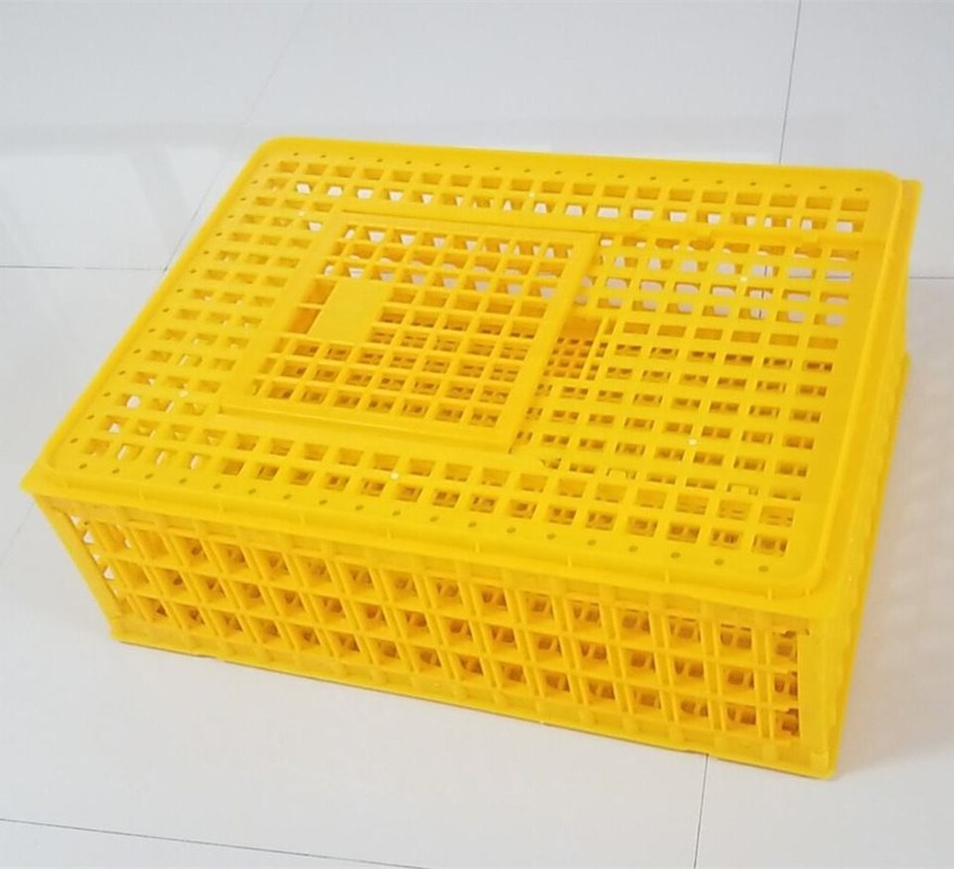 Live Chicken Poultry Carrier Crate Plastic Poultry Transport Crates