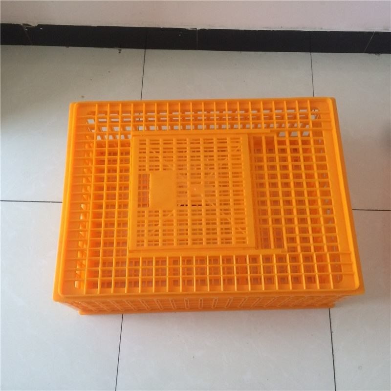 Live Chicken Poultry Carrier Crate Plastic Poultry Transport Crates
