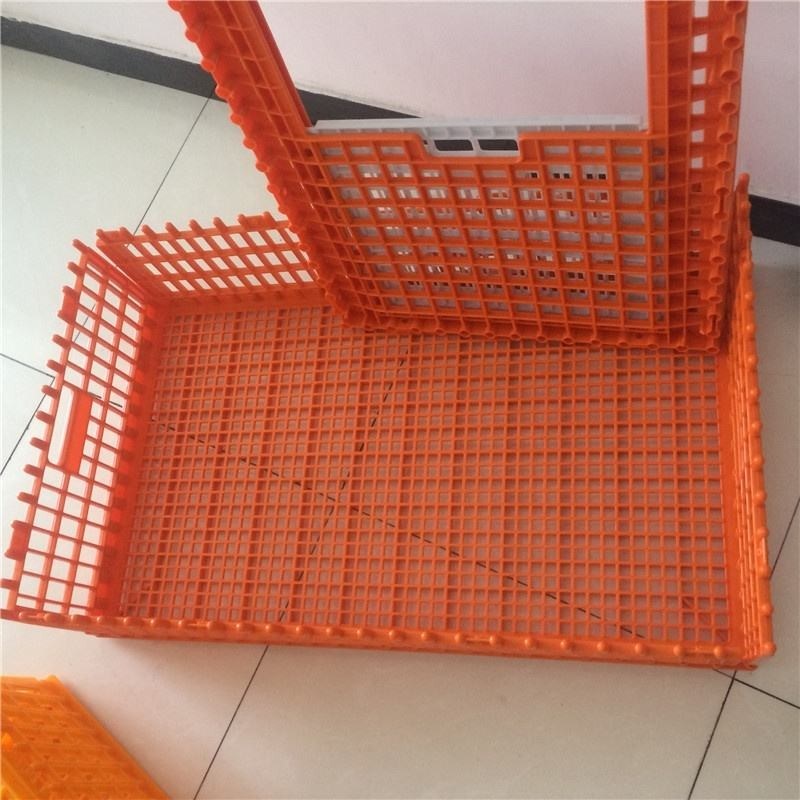 Live Chicken Poultry Carrier Crate Plastic Poultry Transport Crates