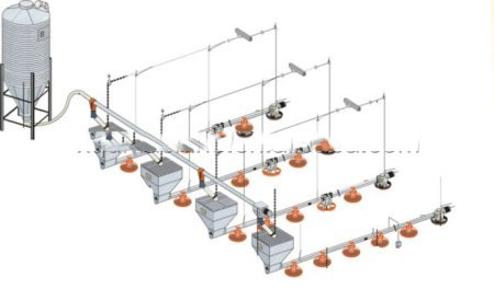 Automatic Poultry Silo Feeding System Broiler Farm 3 Ton Grain Silo