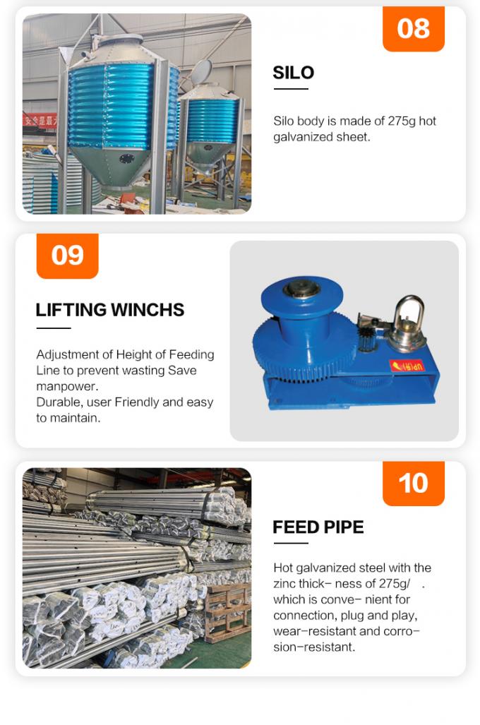 Pan Chicken Feeding Line 120L Bin Automatic Chicken Feeder